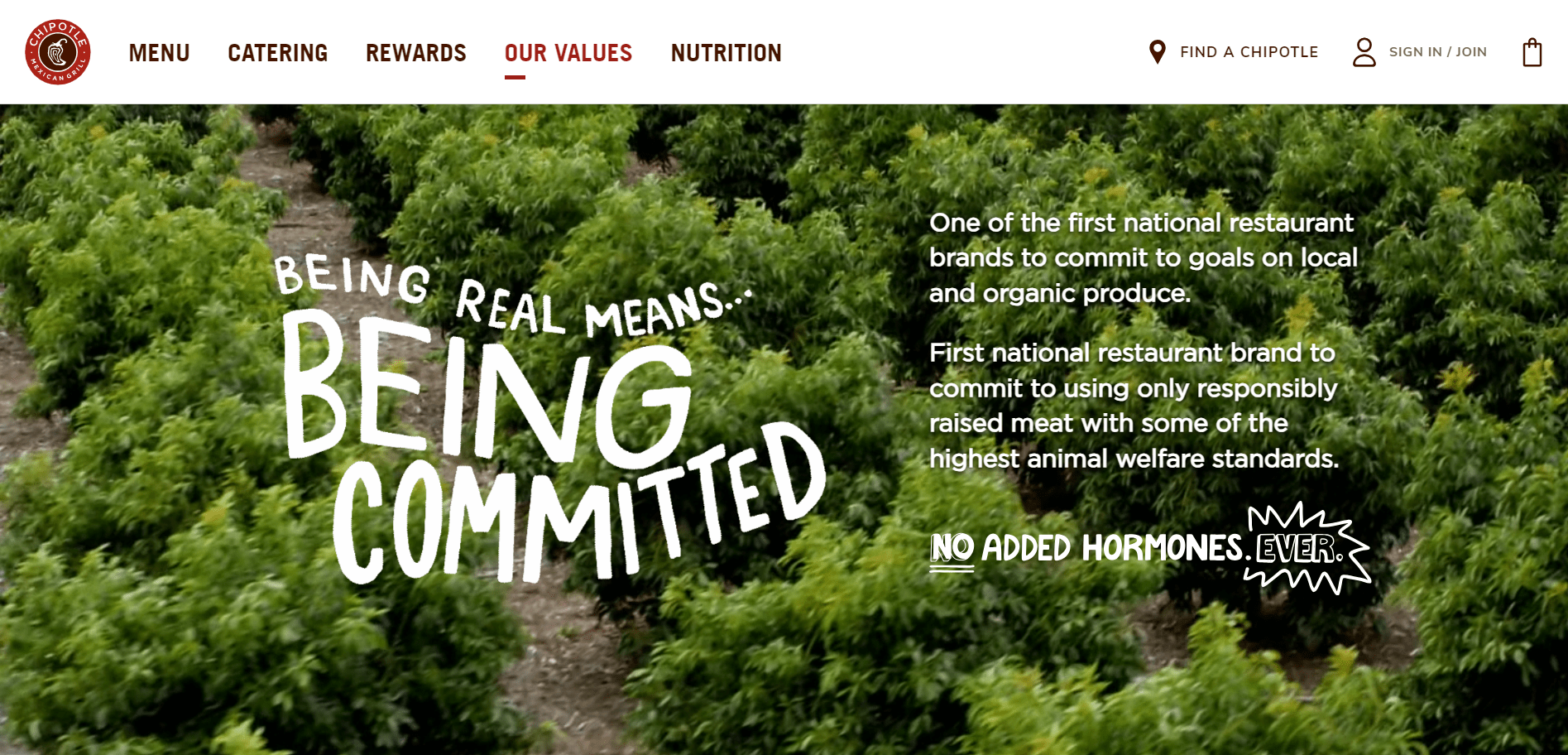 Psychographic Segmentation: a Full Guide with Examples — Claspo.io